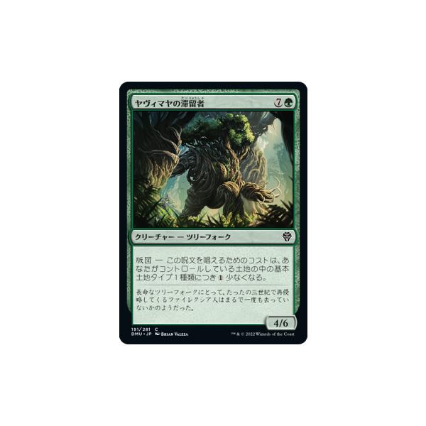 〇Magic: The Gathering【団結のドミナリア】収録●レアリティ:コモン●カード名：ヤヴィマヤの滞留者/Yavimaya Sojourner版図 ― この呪文を唱えるためのコストは、あなたがコントロールしている土地の中の基本土...