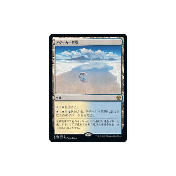 〇Magic: The Gathering【 団結のドミナリア 】収録●レアリティ:レア●カード名：アダーカー荒原/Adarkar Wastes(Ｔ)：(◇)を加える。(Ｔ)：(白)か(青)を加える。アダーカー荒原はあなたに１点のダメージを...