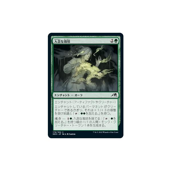 〇Magic: The Gathering【神河：輝ける世界】収録●レアリティ:コモン●カード名：入念な栽培/Careful Cultivationエンチャントしているパーマネントがクリーチャーであるかぎり、それは+1/+3の修整を受け到達...
