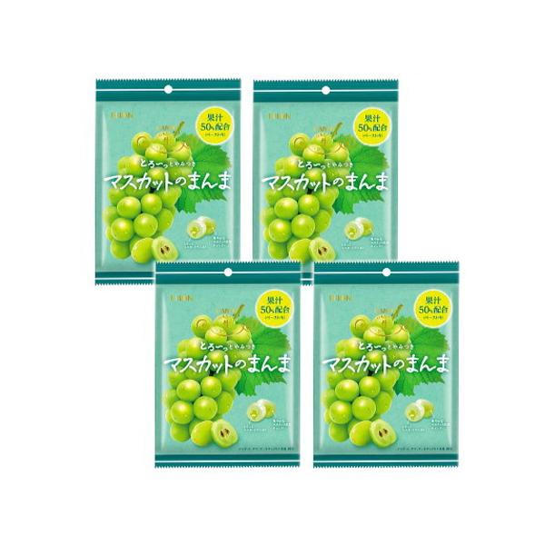※メール便での発送となります※とろーりとしたマスカットのペースト入りで濃厚な味わい。 やみつきになる美味しいキャンディーです。【栄養成分表示(1粒 約 6gあたり)】エネルギー 　23kcalたんぱく質　　0g脂質　　　　　 0g炭水化物　...