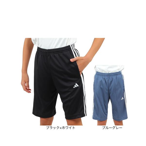 2024年春夏モデル 2024ssmodel アディダス ADIDAS スーパースポーツゼビオ ゼビオ Super Sports XEBIO ボトムス ハーフパンツ 子供スポーツパンツ ジャムショーツ Junior ジュニア じゅにあ 子供...