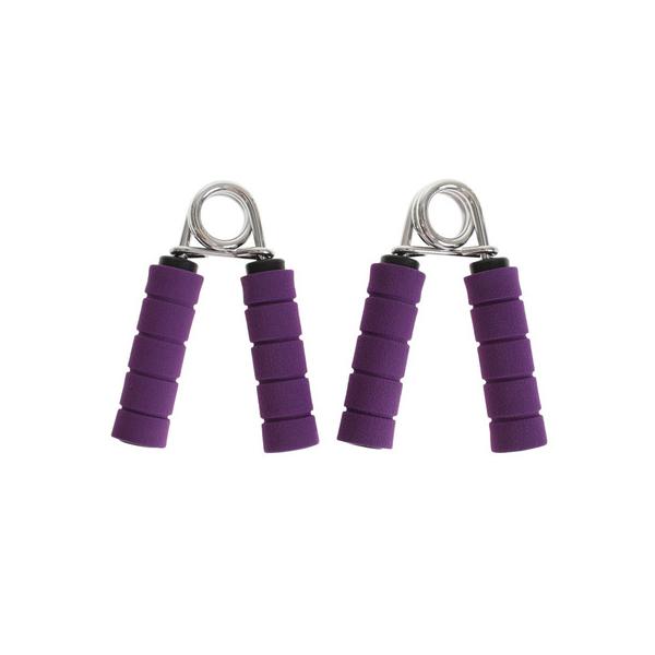 コアブレード COREBLADE トレーニング用具 トレーニンググッズ フィットネス器具 トレーニング エクササイズ フィットネス 筋トレ 自主練習 家トレ 自主トレ 部活 紫 パープル tr_0513 S_pm_self-training...