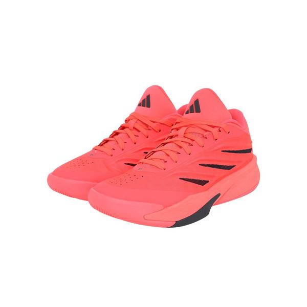 2026年春夏モデル 2026ssmodel アディダス ADIDAS スーパースポーツゼビオ ゼビオ Super Sports XEBIO バスケットシューズ バスケットボールシューズ 靴 河村 河村勇輝 クレイジーエナジー ピンク バッ...