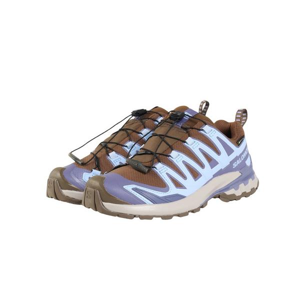 2026年秋冬モデル 2026fwmodel サロモン SALOMON スーパースポーツゼビオ ゼビオ Super Sports XEBIO トレーニングシューズ 靴 トレイルシューズ Lady's Ladys レディース れでぃーす 女性...