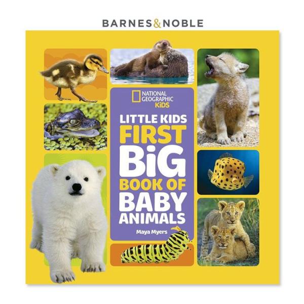 ※メーカーによりデザイン、成分内容等に変更がある場合がございます。▼サイズ約25.1cm (w) x 25.1cm (h) x 1.5cm (d)▼著者Maya Myers (マヤ・マイヤーズ)▼ご注意・詳しくはメーカーサイトをご覧ください...