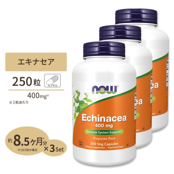 ※メーカーによりデザイン、成分内容等に変更がある場合がございます。▼内容量 / 形状3個セット 各250粒 / カプセル▼成分内容【2粒中】総炭水化物量  1g未満 エキナセア根  800mg▼飲み方食品として1日1〜8粒を目安にお水などで...