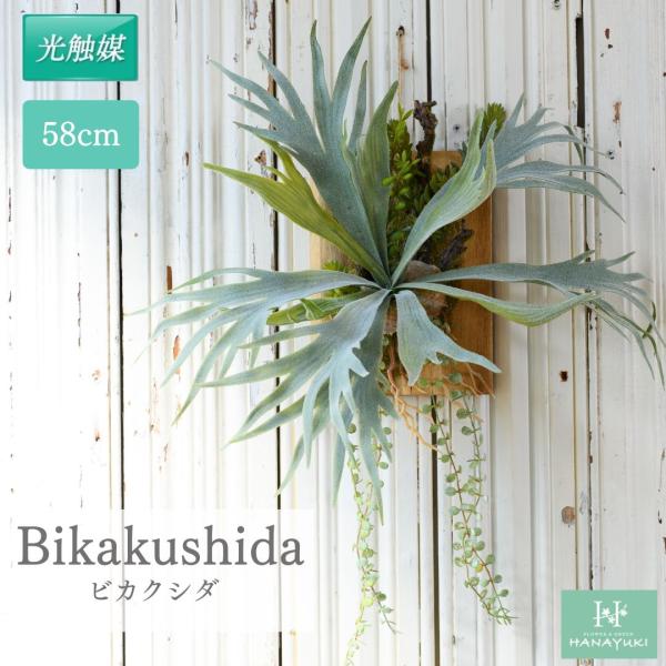 ■商品情報フェイクグリーン ビカクシダ（コウモリラン)ハンギング 吊り下げ 全長58cm光触媒加工付き全長58cmボード（板）サイズ：20cm×15cmすぐに飾れる紐付きカラーバリエーション（板の色）・ブラウン・ブラック■商品詳細独特なフォ...