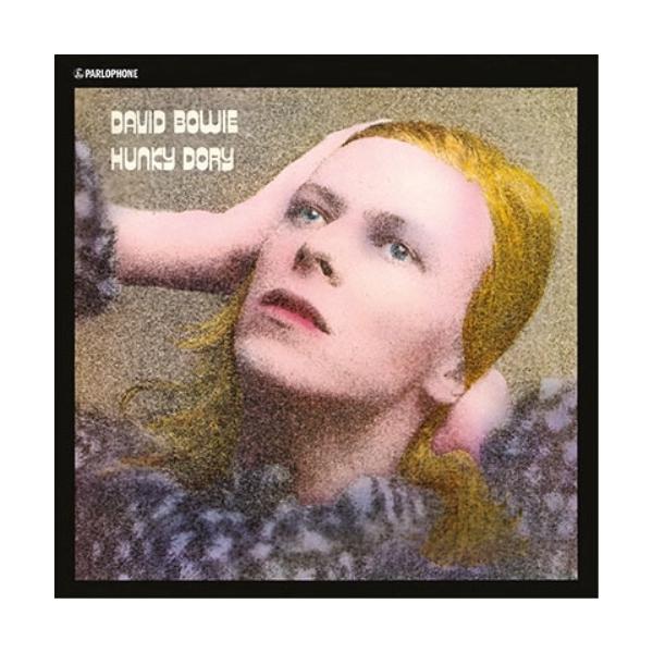 【発売日：2016年02月26日】David Bowie (デヴィッド・ボウイ でヴぃっど・ぼうい)2016年2月26日 発売180グラムの重量盤アナログLPレコードで発売!1971年初頭に初めてニューヨークを訪れ、当地のアンダーグラウンド...