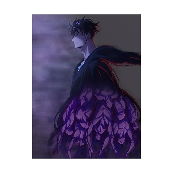 【発売日：2025年06月25日】TVアニメ (DUBU、Chugong、h-goon、坂泰斗、上田麗奈、平川大輔、須藤智子、澤野弘之)2025年6月25日 発売