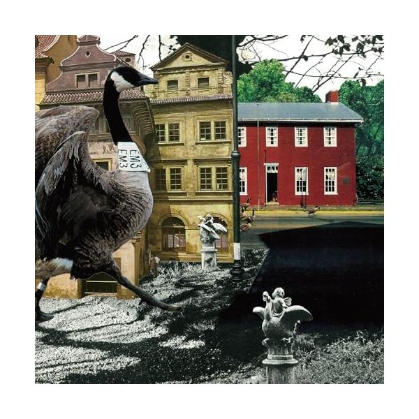 【発売日：2026年05月20日】Ray Chatani Orchestra (レイチャタニオーケストラ れいちゃたにおーけすとら)2026年5月20日 発売