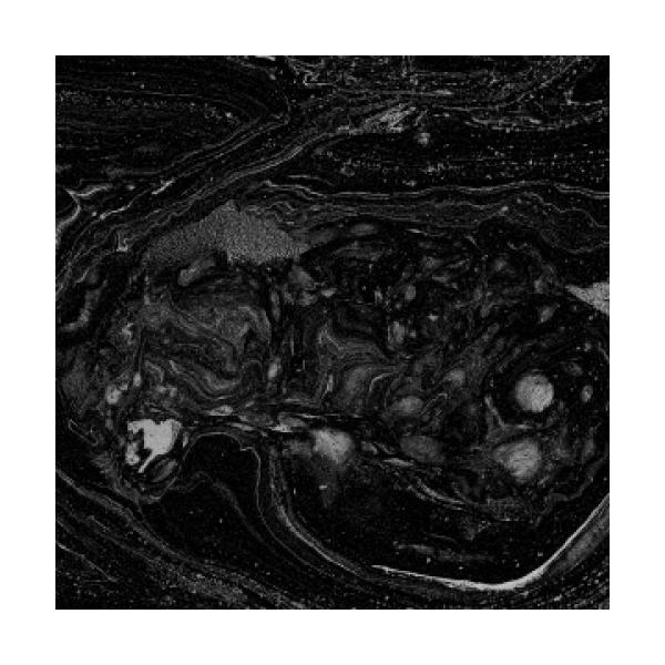 【発売日：2019年03月20日】BiS (ビス びす)2019年3月20日 発売2018年12月29日のZepp Tokyoで行われたツアーファイナルで、BiSを2グループに分裂させていた(BiS.LEAGUE)が廃止することが発表された...