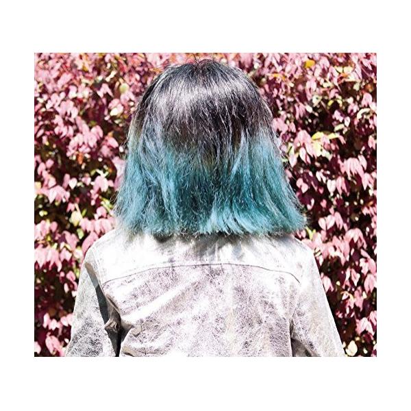 【発売日：2017年11月08日】Aiha Higurashi (アイハヒグラシ あいはひぐらし)2017年11月8日 発売Seagull Screaming Kiss Her Kiss Herのフロントマンでもある、日暮愛葉の前作『per...