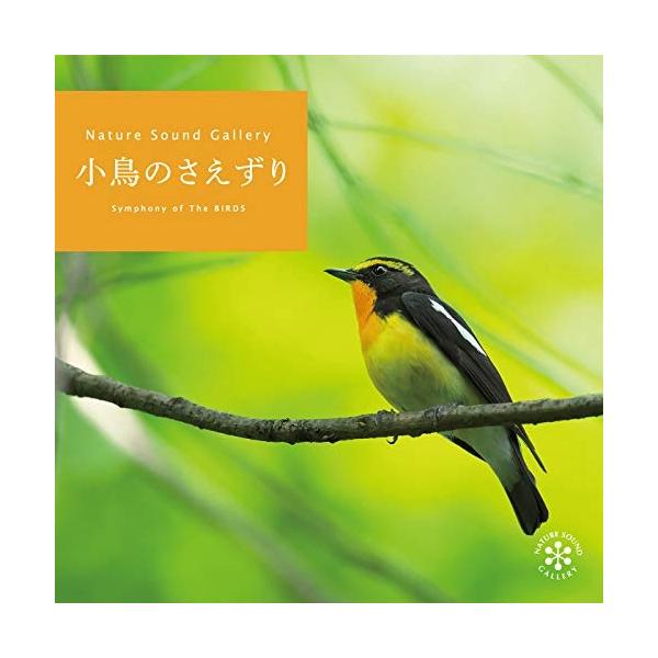 【発売日：2020年07月31日】ヒーリング2020年7月31日 発売緑あふれる自然の中を自由に飛び交い、 美しい声を聴かせてくれる鳥たち。 カッコウ、ウグイス、エナガ、クロツグミ、キビタキ、ホトトギス...。 爽やかな野鳥たちのコーラスが...