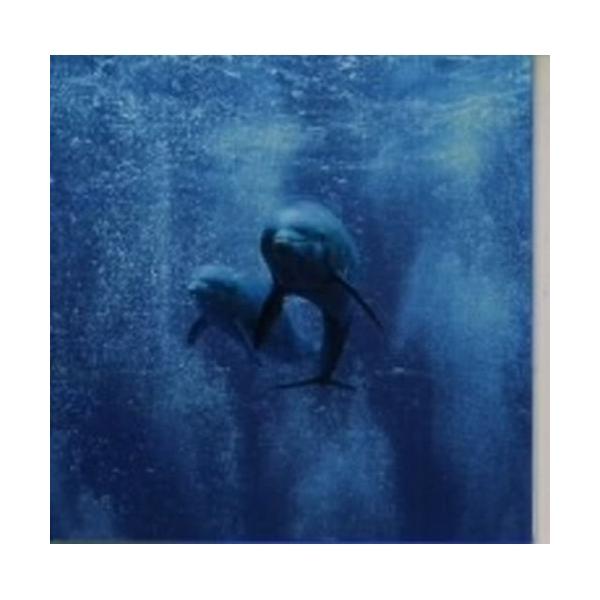 【発売日：1998年09月02日】DREAM DOLPHIN (ドリームドルフィン どりーむどるふぃん)1998年9月2日 発売ANB系「FUTURE TRACS」のNORIKO本人のレギュラー・コーナーで使用された楽曲を収録したアルバム。...