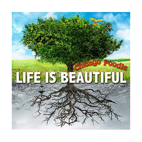 【発売日：2014年09月24日】シカゴプードル (しかごぷーどる)2014年9月24日 発売CD:11.Life is Beautiful2.答エアワセ3.夢色キャンバス4.泣いたらええ5.君の笑顔がなによりも好きだった6.Good-by...