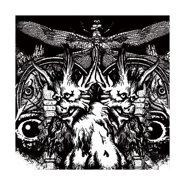 【発売日：2010年10月27日】アーリー・グレイブス (アーリーグレイブス あーりーぐれいぶす)2010年10月27日 発売UNEARTHのシンガー、トレヴァーに見出された、サンフランシスコ出身のスラッシュ・バンド、アーリー・グレイブスの...