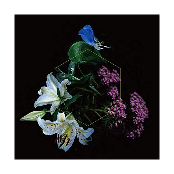 【発売日：2020年10月28日】菅原一樹 (スガワラカズキ すがわらかずき)2020年10月28日 発売菅原一樹のこれまでの楽曲からセレクトした楽曲集第二弾。2014 - 2019年の作品からセレクト、再ミックスされている本作品集は、ポス...