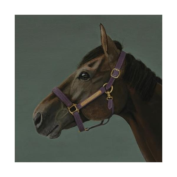 【発売日：2025年10月22日】市原ひかり (イチハラヒカリ いちはらひかり)2025年10月22日 発売日本ジャズ界の第一線で輝きを放つトランペッター市原ひかりが2025年デビュー20周年を迎え、通算11作目となるフル・アルバム『Bra...