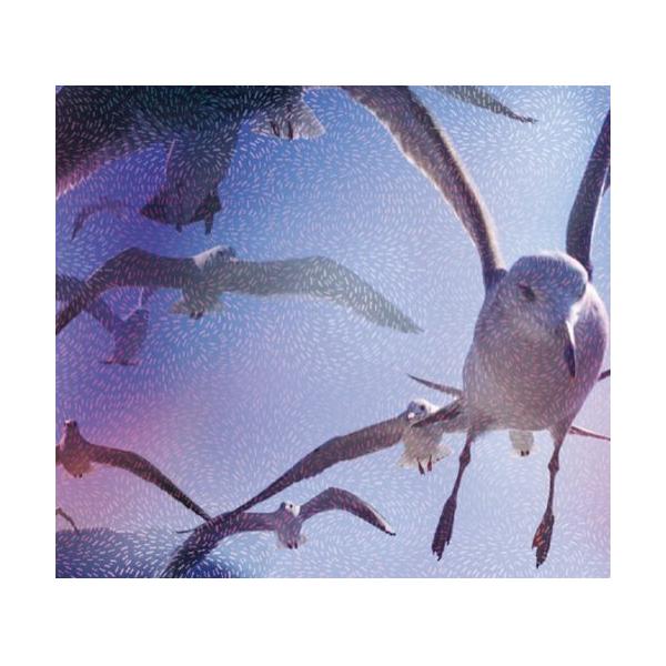 【発売日：2010年08月18日】石野卓球 (イシノタッキュウ いしのたっきゅう)2010年8月18日 発売電気グルーヴの石野卓球が、実に6年ぶりとなるオリジナル・ソロ作品をリリース!!ほぼ毎週、日本各地のクラブやフェスでDJを行ないフロア...