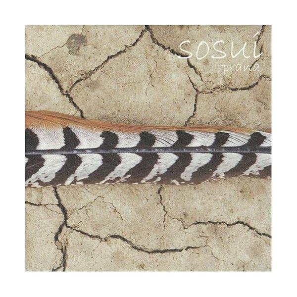 【発売日：2007年10月17日】sosui (ソウスイ そうすい)2007年10月17日 発売インドアでもアウトドアでも癒され、独特のパワーを感じられる、スピリチュアルソング。プラーナとは、サンスクリット語で呼吸。このアルバムを耳にしたす...