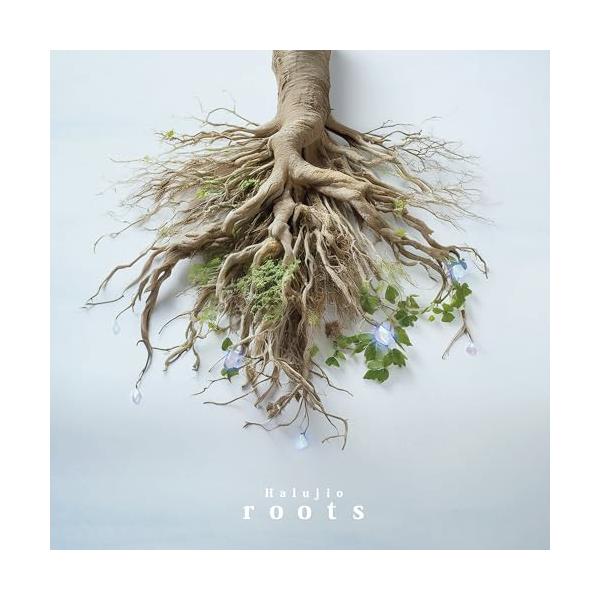 【発売日：2024年12月11日】Halujio (ハルジオ はるじお)2024年12月11日 発売2018年、Vo/Gt 高畠大知、Ba/Cho 松本宗光を中心に結成。サポートギターだった大窪弥真斗が正式加入の後、2022年にはサポートド...