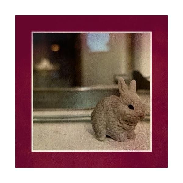 【発売日：2024年03月06日】ダウント (だうんと)2024年3月6日 発売オルタナ、エモ、インディーロック、もはやカテゴライズはいらない存在感でジャンルの境界線を風通しよく越えて拡がり続けるdownt。2024年遂にフルアルバムリリー...