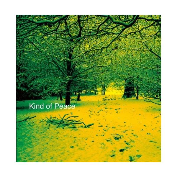 【発売日：2007年12月05日】パット・ディー&amp;レディー・パラドックス (パットディー/レディーパラドックス ぱっとでぃー/れでぃーぱらどっくす)2007年12月5日 発売CD:11.Intro2.Perspectives3.St...