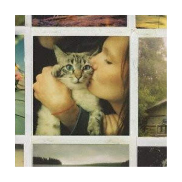 【発売日：2008年10月17日】コクーン (こくーん)2008年10月17日 発売CD:11.Take off2.Vultures3.On my way4.Seesaw5.Christmas song6.Tell me7.Owls8.Pa...