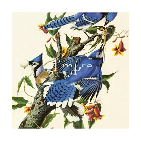 【発売日：2009年08月05日】グリンプス (ぐりんぷす)2009年8月5日 発売CD:11.Pushing Claude2.Misunderstood3.Bad Monday4.Colours5.Lazer Bather6.Fellaz...