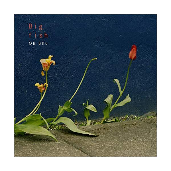 【発売日：2019年05月22日】王舟 (オウシュウ おうしゅう)2019年5月22日 発売前作アルバム『PICTURE』発表後、MOCKYによるリミックスを収録した7インチシングル「Moebius」、イタリア録音となったBIOMAN(ne...