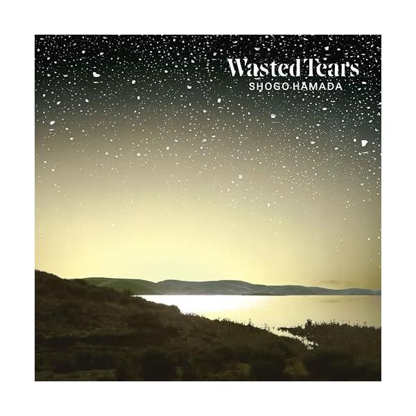 【発売日：2026年01月21日】浜田省吾 (ハマダショウゴ はまだしょうご)2026年1月21日 発売バラードセレクションアルバムシリーズ、4タイトルを一挙アナログ盤で発売決定!1983年リリースのシリーズ第1作『SAND CASTLE』...