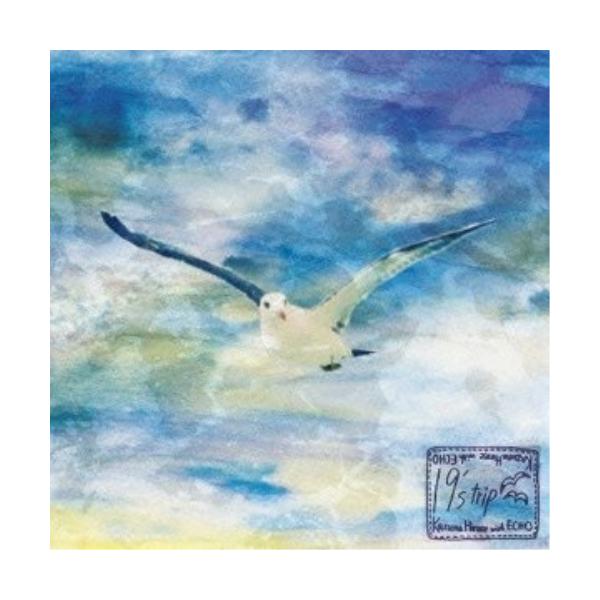 【発売日：2013年02月28日】Kazuna hirose with ECHO (カズナヒロセウィズエコー かずなひろせうぃずえこー)2013年2月28日 発売全曲の作詞・作曲を務める弱冠19歳(2013年時)の広瀬和奏率いるロック・バン...