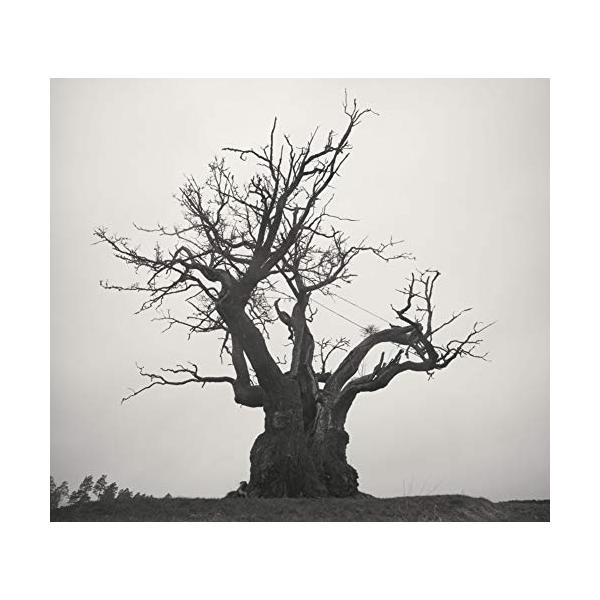 【発売日：2021年02月10日】SEKAI NO OWARI (セカイノオワリ せかいのおわり)2021年2月10日 発売2010年2月10日に「幻の命」でデビューしたSEKAI NO OWARI。そのメモリアルな日、2021年2月10日...