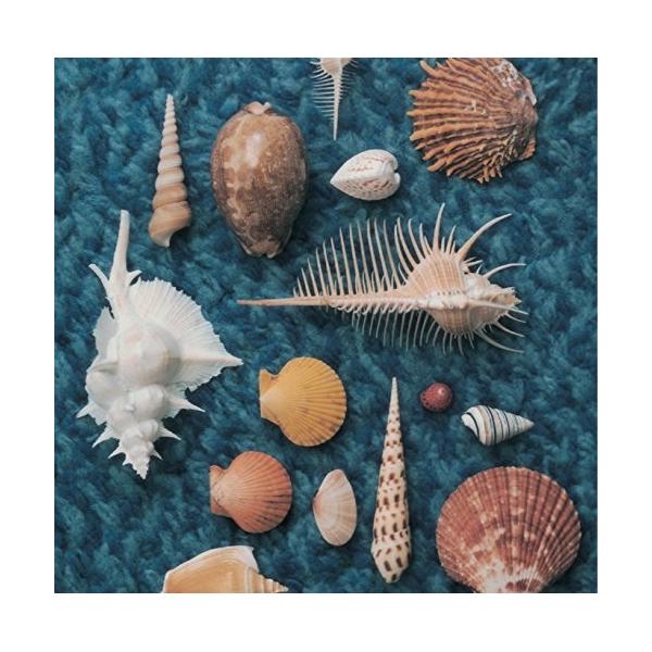 【発売日：2017年07月05日】Spitz (スピッツ すぴっつ)2017年7月5日 発売2006年にリリースされまたたく間に大ヒットを記録した『CYCLE HIT』の2タイトル。 今回スピッツ結成30周年を記念して、2017年の最新スピ...