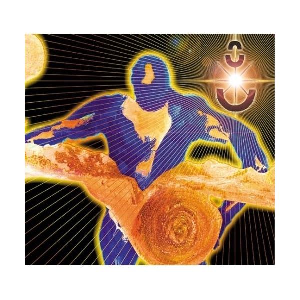 【発売日：2008年06月04日】ROVO (ロボ ろぼ)2008年6月4日 発売国内外で幅広い音楽ファンから絶大な信頼と熱狂的な人気を集める唯一無二のダンス・バンド、ROVO通算8枚目のアルバム。6人編成に戻ってから初の複数曲から成る作品...