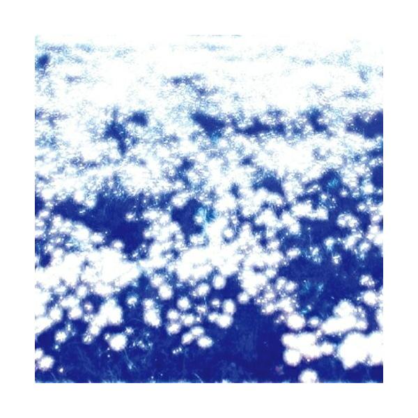 【発売日：2008年04月02日】OVUM (オーバム おーばむ)2008年4月2日 発売心の琴線に響きます!東京発、4ピース・ロック・バンド、OVUMのファースト・アルバム。toeを思わせる弾ける美しさと、怒号のような音像が見事なアンサン...