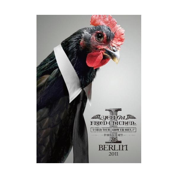 【発売日：2012年04月18日】YELLOW FRIED CHICKENz (イエローフライドチキンズ いえろーふらいどちきんず)2012年4月18日 発売DVD:11.THE END OF THE DAY(.eu)2.NINE SPIR...