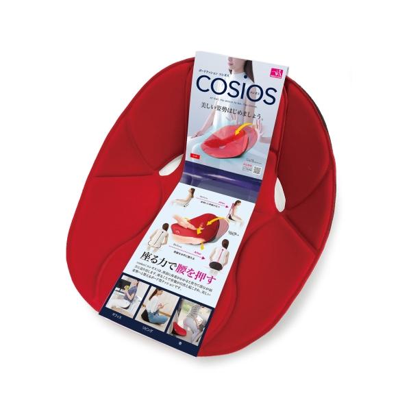 座る力で腰を押す！長時間座っても腰がらく定価 : 3278円JANコード : 4571414688192商品番号 : 4571414688192ボードクッション/クッション/腰痛/腰/姿勢/骨盤/美姿勢