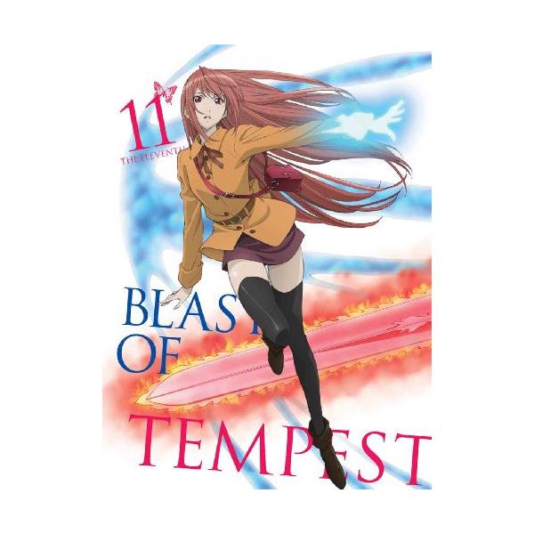 【発売日：2013年11月27日】TVアニメ (城平京、左有秀、彩崎廉、内山昴輝、豊永利行、沢城みゆき、斎藤恒徳、大島ミチル)2013年11月27日 発売