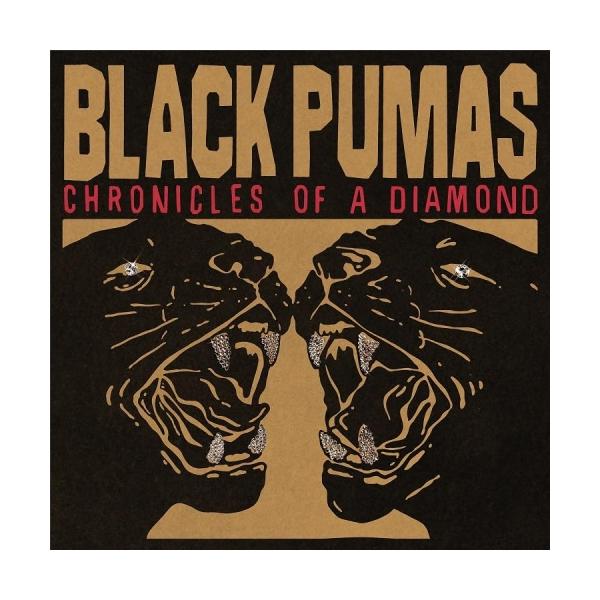 【発売日：2025年07月09日】BLACK PUMAS (ブラックプーマズ ぶらっくぷーまず)2025年7月9日 発売第62回グラミー賞『Best New Artist』、ノミネート。第63回グラミー賞『Record Of The Yea...