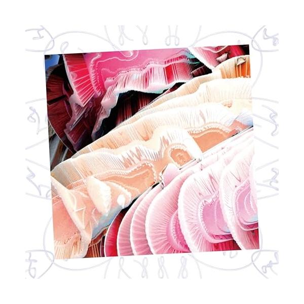 【発売日：2025年04月02日】NAQT VANE (ナクトベイン なくとべいん)2025年4月2日 発売新進気鋭のダークポップシンガー・Yunoa(ユノア)が加入し、Harukazeとツインボーカル体制となった新生ナクトベインのコンセプ...