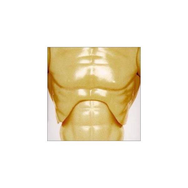 【発売日：2000年04月21日】SPOOZYS (スプージーズ すぷーじーず)2000年4月21日 発売松江潤率いるエレクトロ系ポップ・バンド、SPOOZYSのシングル。リミキサーとして福富幸宏、くるりの岸田繁、チボ・マットの本田ゆかが参...