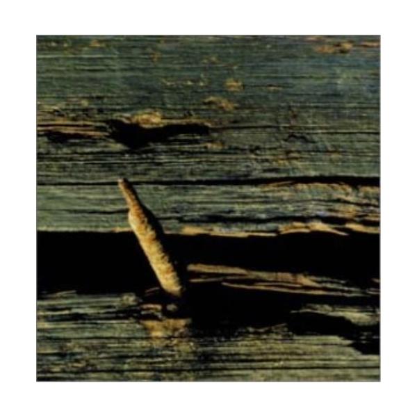 【発売日：2001年02月21日】ホーム (ほーむ)2001年2月21日 発売元チョコレートUSAのメンバーが在籍するポップ・ユニット、ホームの1998年発表のアルバム。「アナザー・シーズン」他、全10曲収録。CD:11.The Bogey...