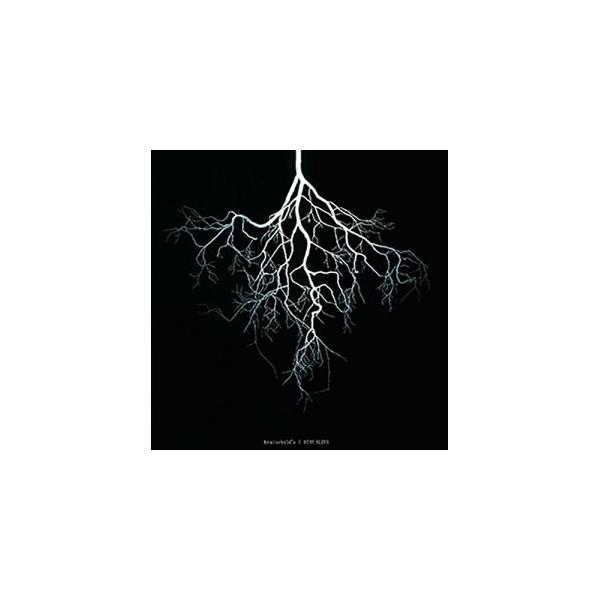 【発売日：2018年04月11日】brainchild's (ブレインチャイルズ ぶれいんちゃいるず)2018年4月11日 発売THE YELLOW MONKEYのギタリストEMMAこと菊地英昭がプロデュース、メンバーとして活動するプロジェ...