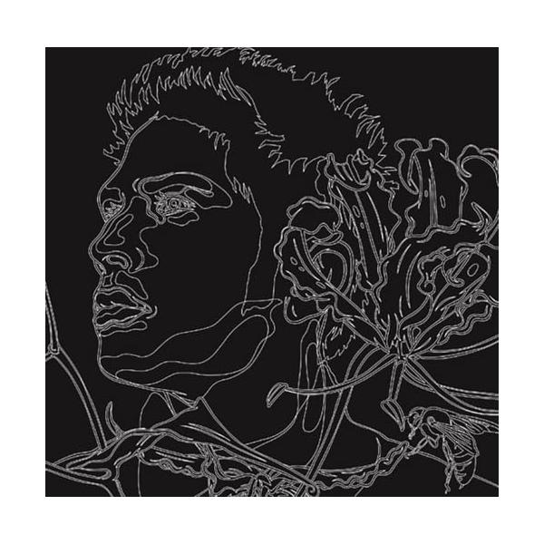 【発売日：2025年12月03日】平井堅 (ヒライケン ひらいけん)2025年12月3日 発売2025年5月13日でデビュー30周年を迎える平井堅。そんな平井堅のアニバーサリー企画として過去リリースしたオリジナルアルバム作品のアナログ・レコ...