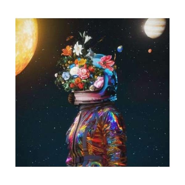 【発売日：2025年12月24日】山嵐 (ヤマアラシ やまあらし)2025年12月24日 発売