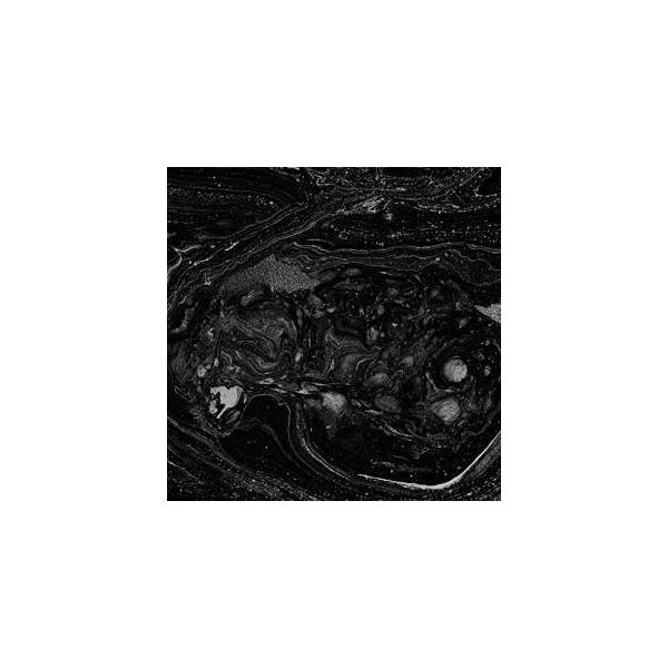 【発売日：2019年03月20日】BiS (ビス びす)2019年3月20日 発売2018年12月29日のZepp Tokyoで行われたツアーファイナルで、BiSを2グループに分裂させていた(BiS.LEAGUE)が廃止することが発表された...