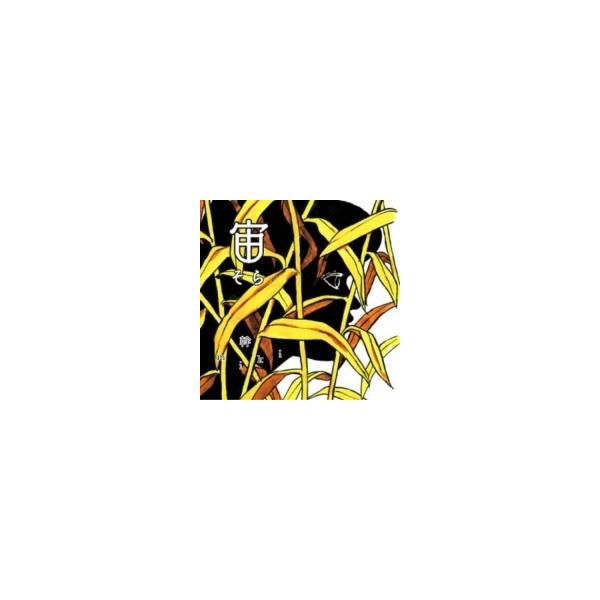 【発売日：2018年02月07日】幹miki (ミキ みき)2018年2月7日 発売宮城県蔵王町在住のシンガーソングライター、幹mikiの5年ぶり、待望のサード・アルバム。ライブで評判の人気曲、CD化の要望の多かった曲、未発表曲などを、キー...