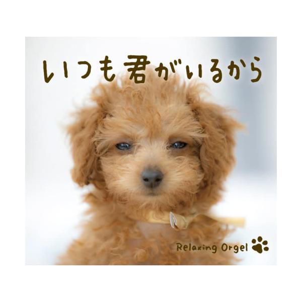 【発売日：2022年03月25日】オルゴール2022年3月25日 発売CD:11.裸の心2.I LOVE...3.ドライフラワー4.香水5.Dynamite6.水平線7.カイト8.さよならエレジー9.Make you happy10.炎11...