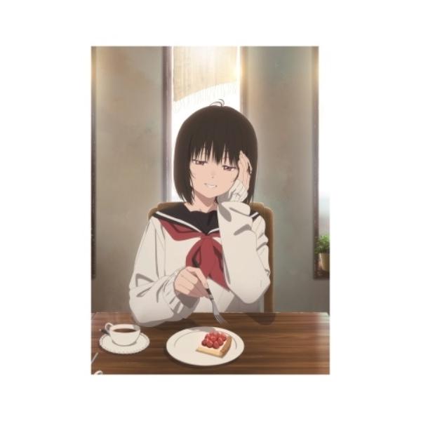 【発売日：2024年10月30日】TVアニメ2024年10月30日 発売